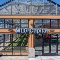 2026 Market View: Navigating Dislocation, Unlocking Opportunity - MLG ...